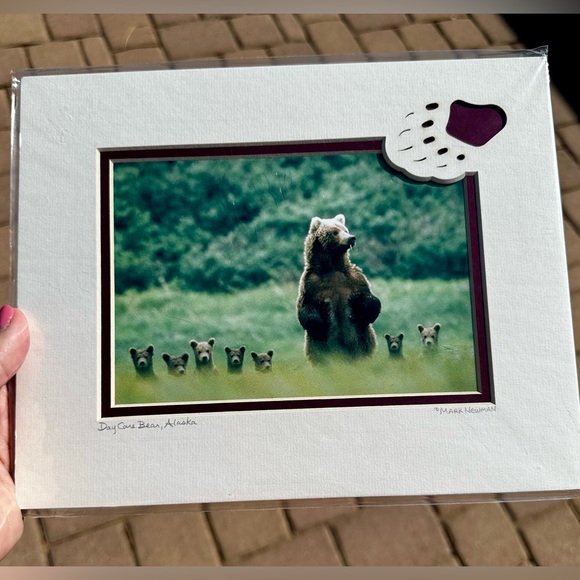 Artisan | Art | Original Artist Photograph Day Care Bear Brown Bears ...